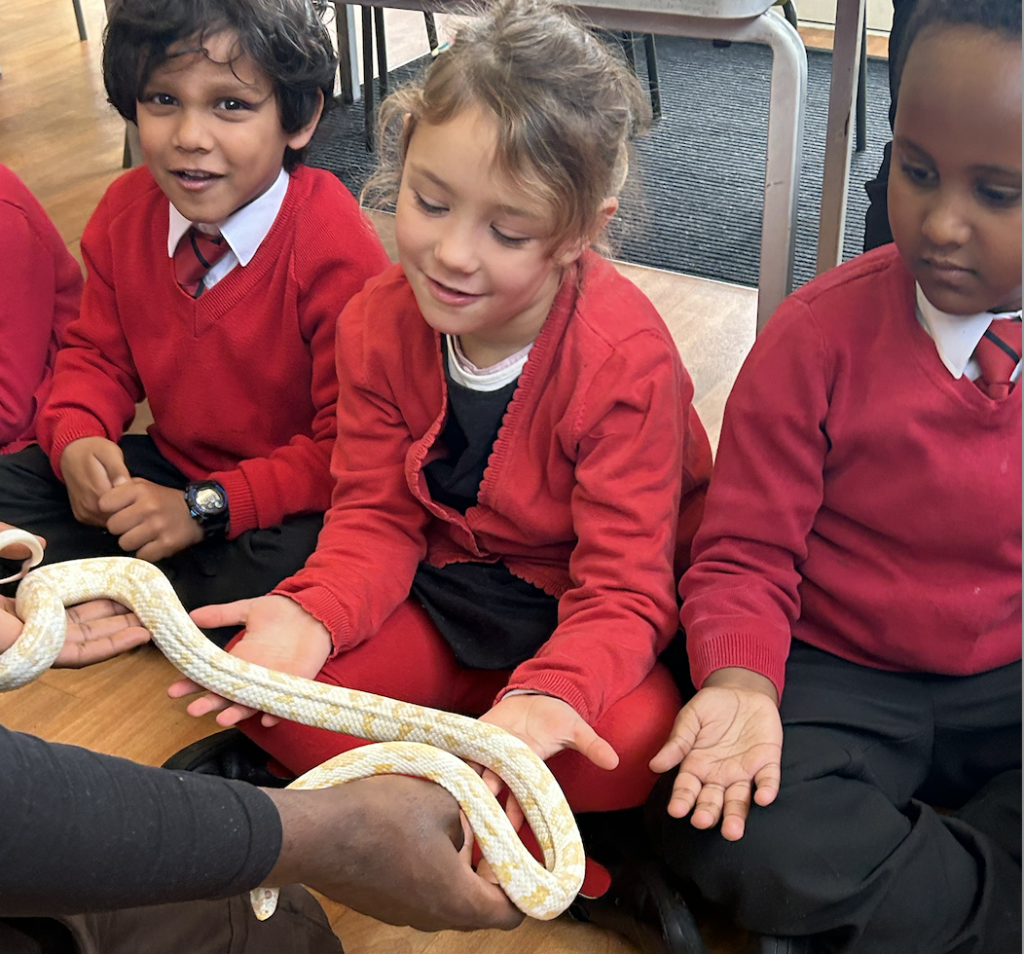 Christ The Saviour Church of England Primary School | Super Science in ...